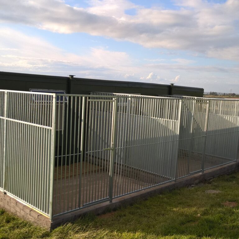 Workington Dog Boarding Kennels & Cattery | Whitehaven Dog Kennels